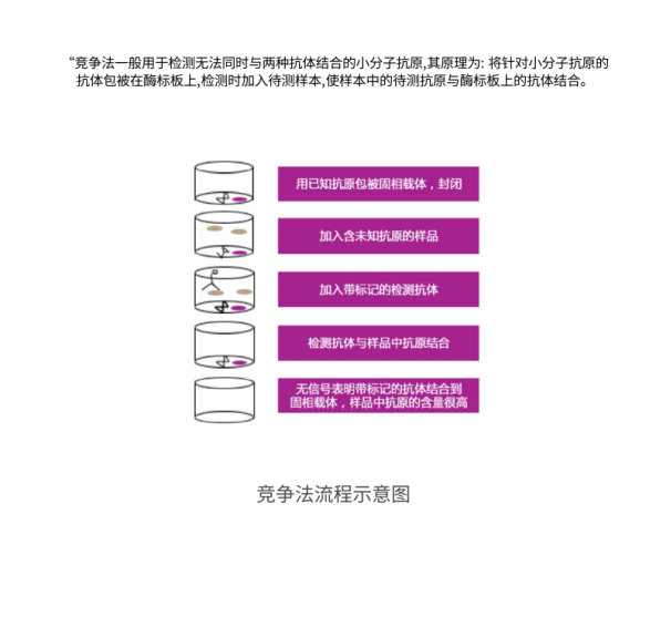 cAMP ELISA KIT（环磷酸腺苷ELISA试剂盒）-上海茁彩生物科技有限公司
